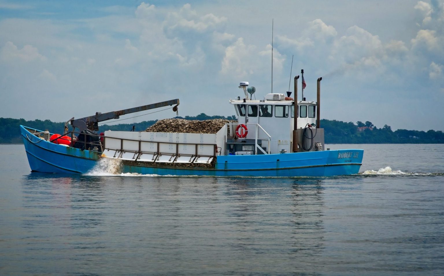 Oyster Recovery Partnership | Chesapeake Bay Restoration | MD