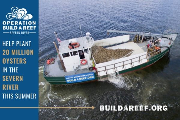 Press & Media - Oyster Recovery Partnership