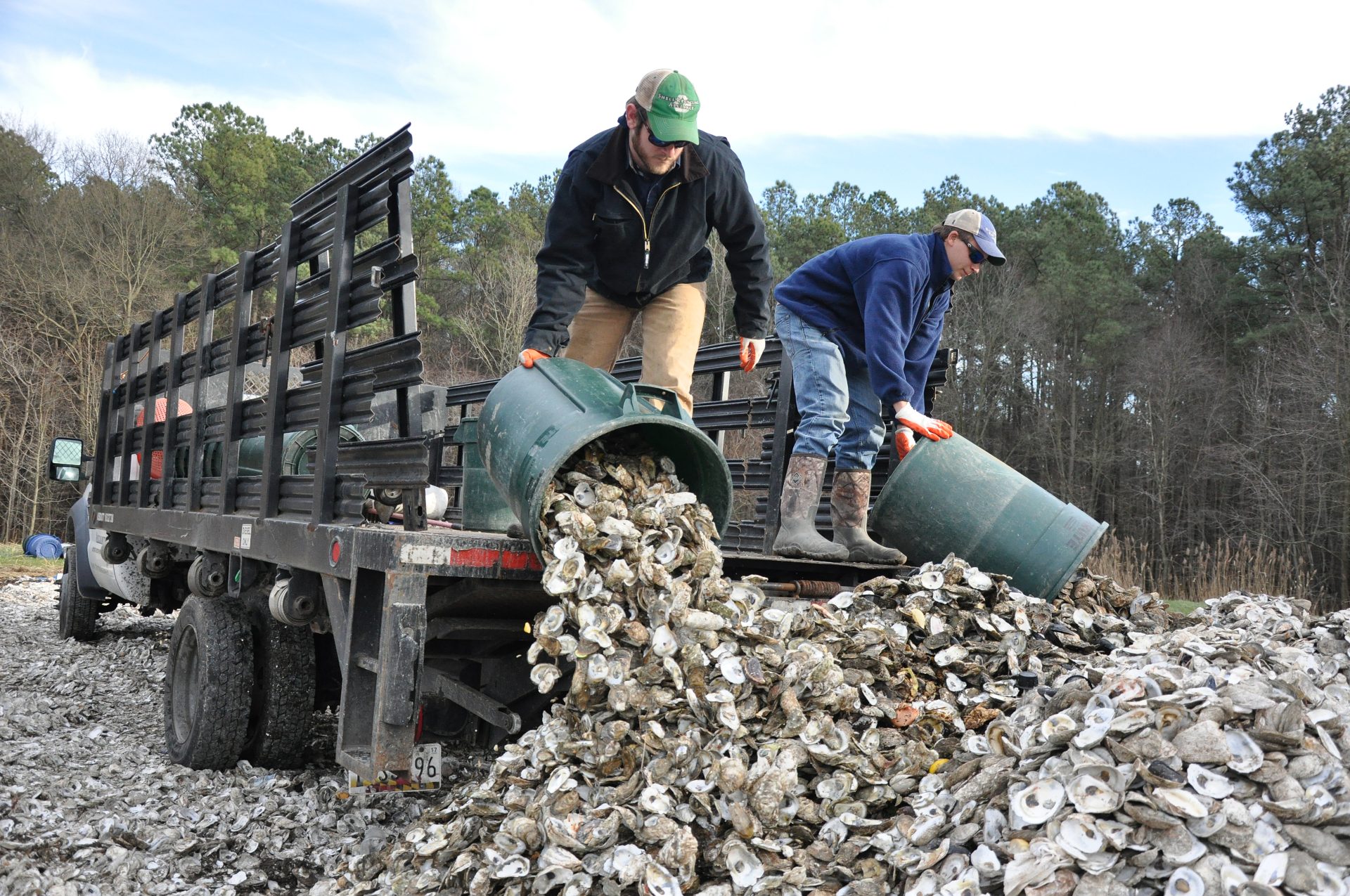 Oyster Restoration Process - Oyster Recovery Partnership