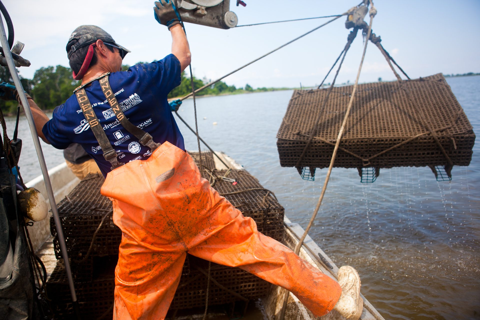 Oyster Aquaculture - Oyster Recovery Partnership