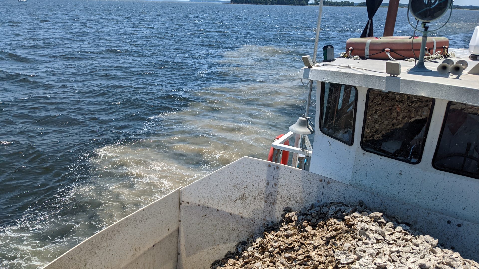 Oyster Restoration Process - Oyster Recovery Partnership