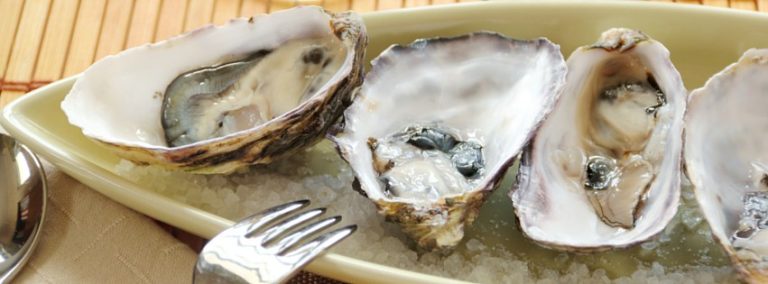 Oyster Facts - Oyster Recovery Partnership