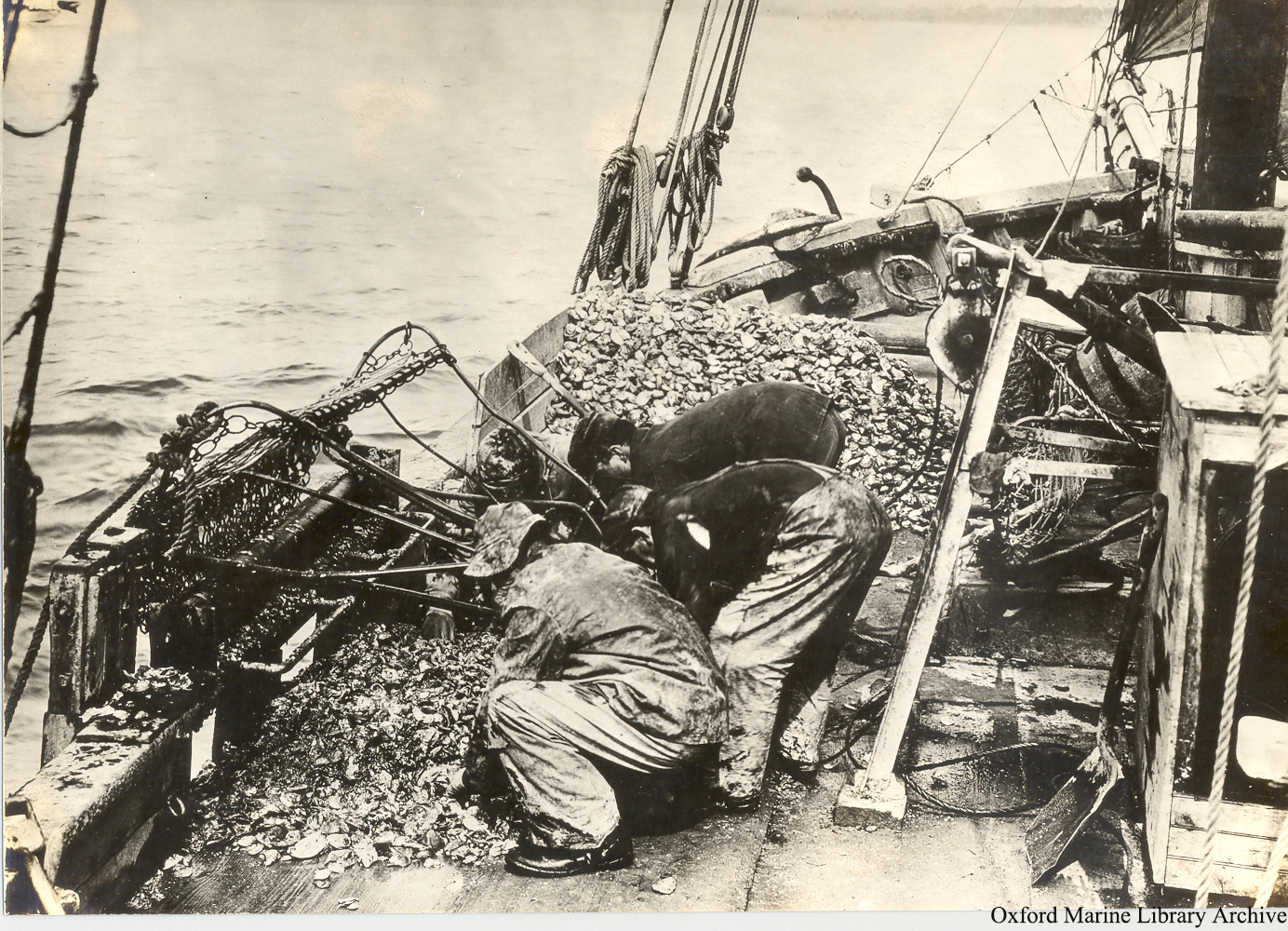 Oyster Restoration History - Oyster Recovery Partnership