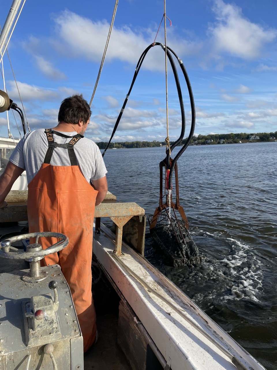 Oyster Restoration Process - Oyster Recovery Partnership